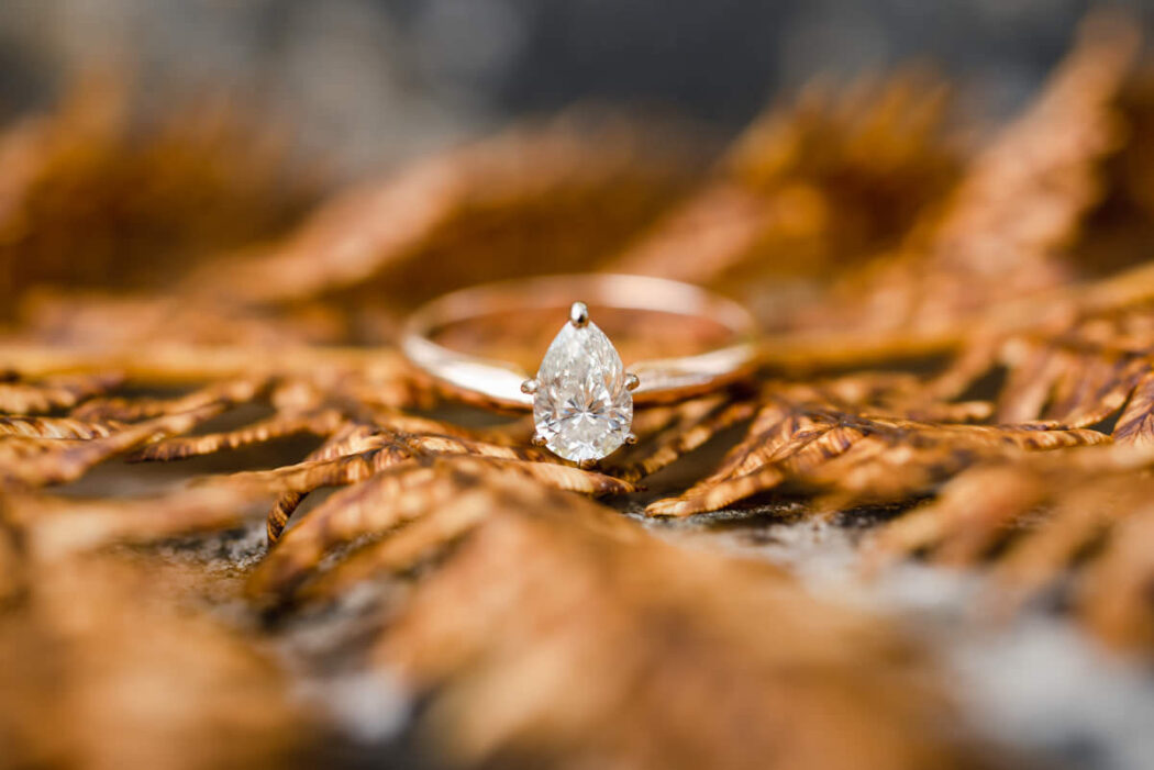 engagement-ring-proposal - Karen Thorburn Photography